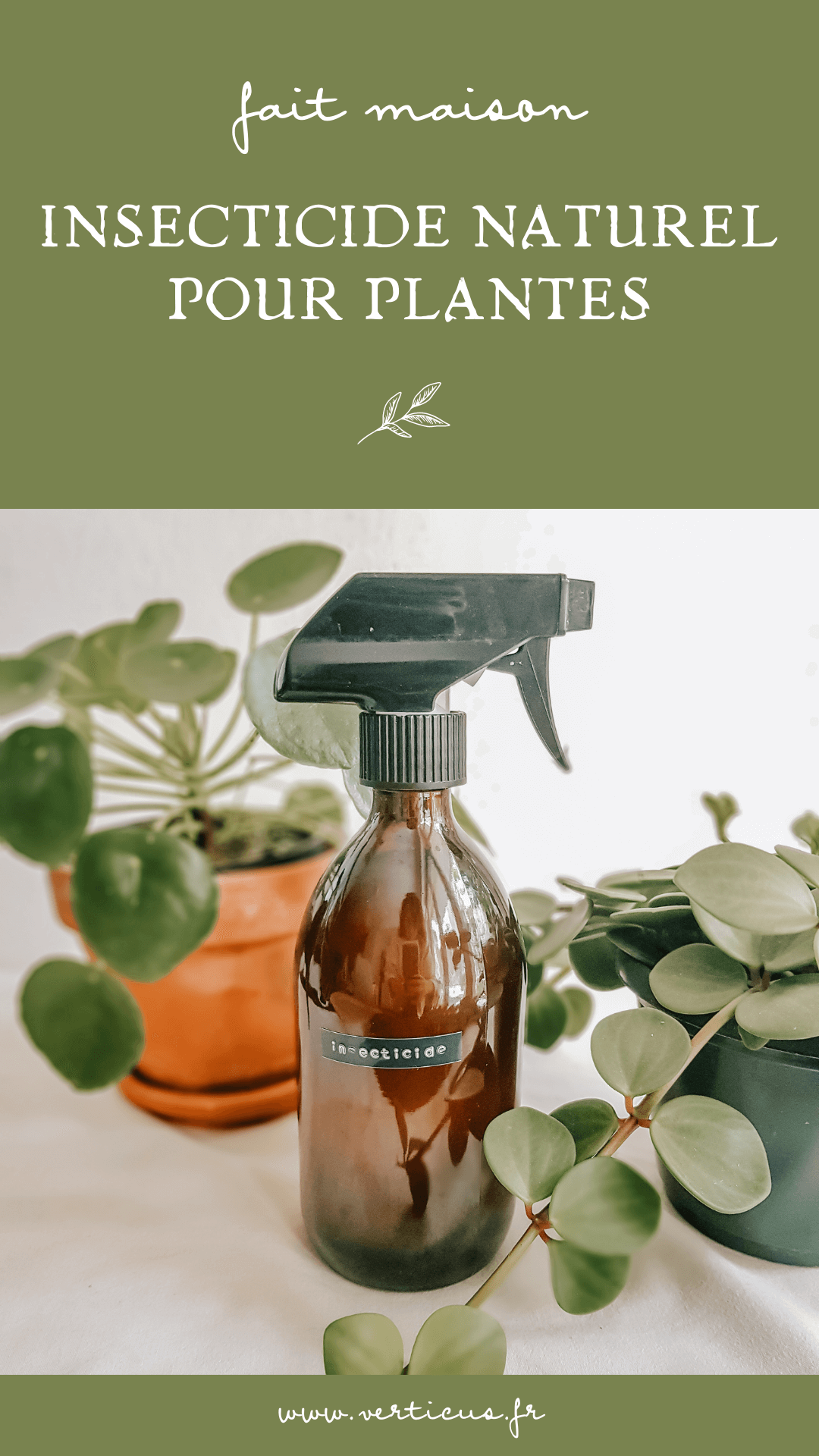 Recette d'insecticide naturel au savon noir pour les plantes