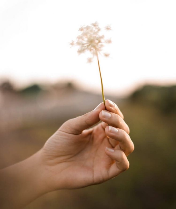 Devenir écolo : liste des gestes verts à adopter maintenant - Gestes ...