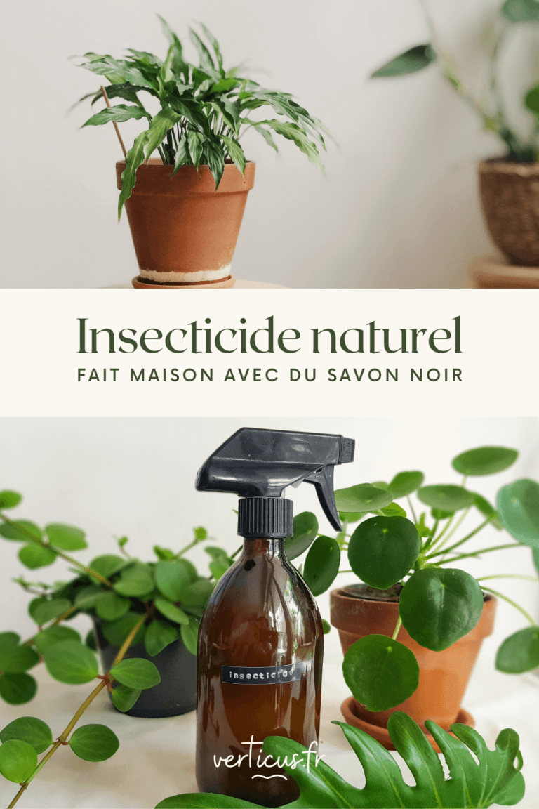 Recette d'insecticide naturel au savon noir pour les plantes
