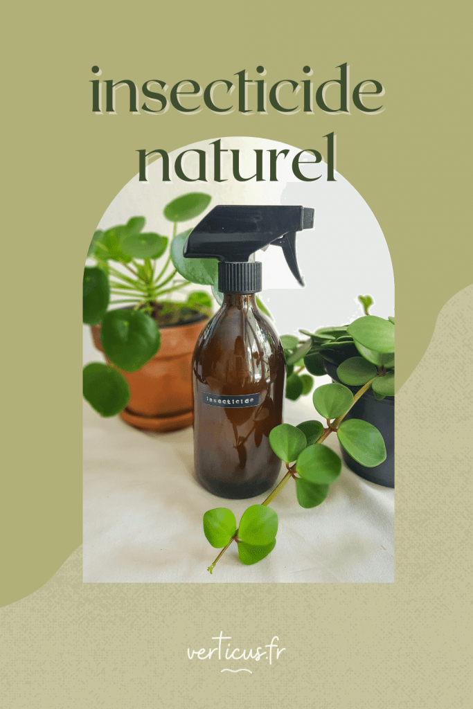 Recette d'insecticide naturel au savon noir pour les plantes