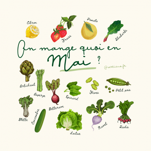 Calendriers des fruits et légumes de saison (mini-format gratuit)