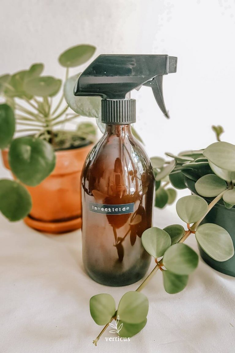 Recette d'insecticide naturel au savon noir pour les plantes